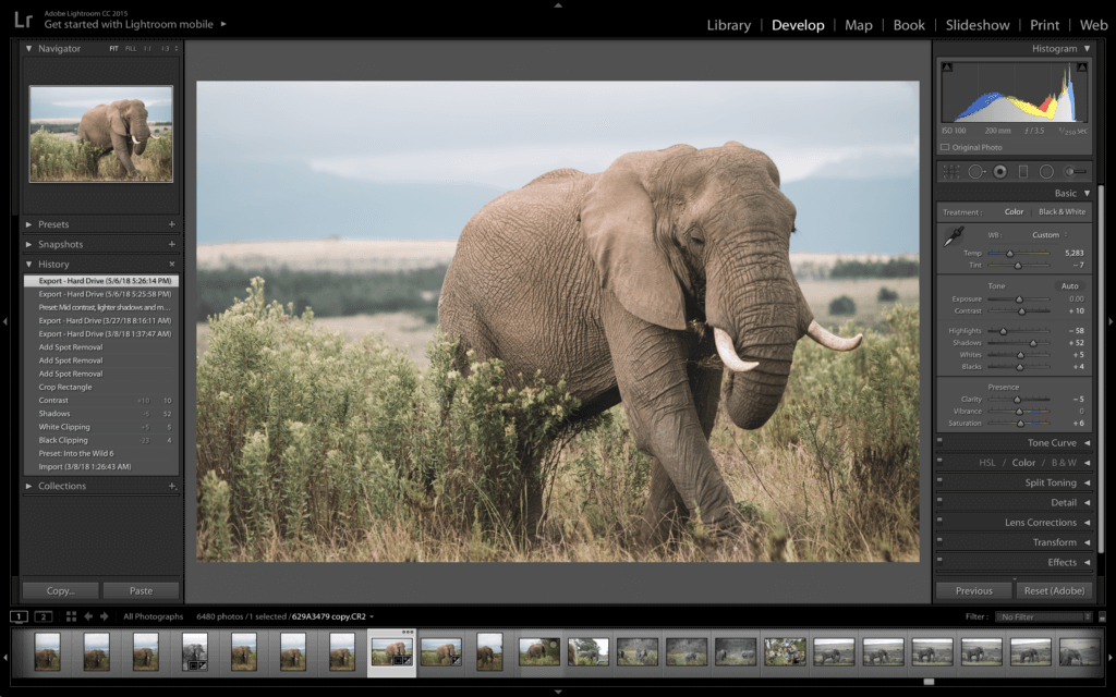 EDITING PHOTOS IN LIGHTROOM - AN EASY BEGINNER'S GUIDE