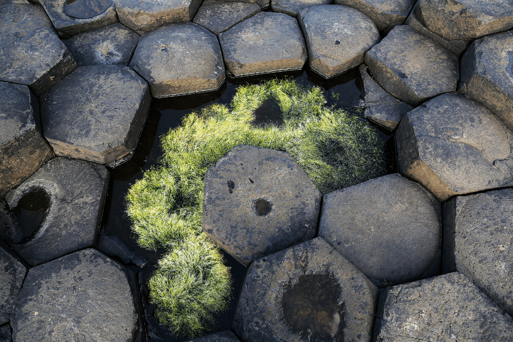 8 REASONS TO VISIT IRELAND - The Scenic Suitcase