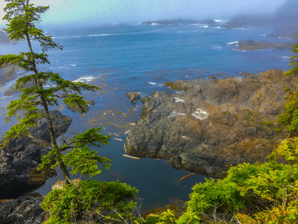4 THINGS TO DO IN PACIFIC RIM NATIONAL PARK