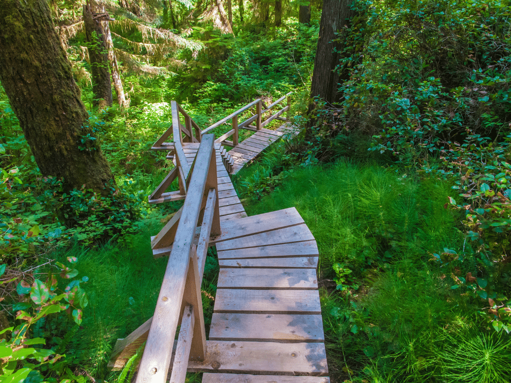 4 THINGS TO DO IN PACIFIC RIM NATIONAL PARK